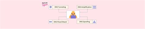 types of dns attacks and tactics for security scaler topics
