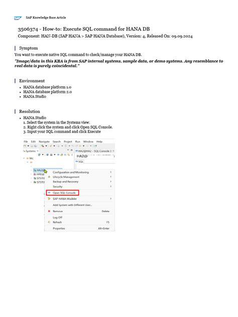 How To Execute Sql Command For Hana Db Pdf