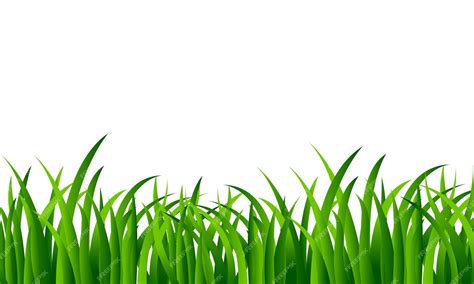 Premium Vector Vector Grass Border Vector Illustration