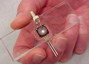 Toxic Sensor Chip Combines Electronics With Living Cell The Kurzweil Library Collections