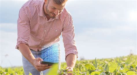 Enhancing Data Integrity In Agricultural Field Trials With Agmatixs Digital Solutions
