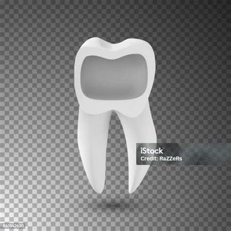 벡터 현실적인 3 차원 치아 건강 한 치아 관리 벡터 제품 템플릿은 투명 한 배경에 고립 3차원 형태에 대한 스톡 벡터 아트 및 기타 이미지 3차원 형태 건강관리와