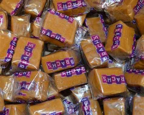 Brach Wiki Furry Amino