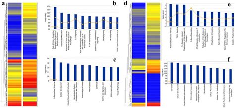 microarray data analysis a hierarchical clustering showing 1261