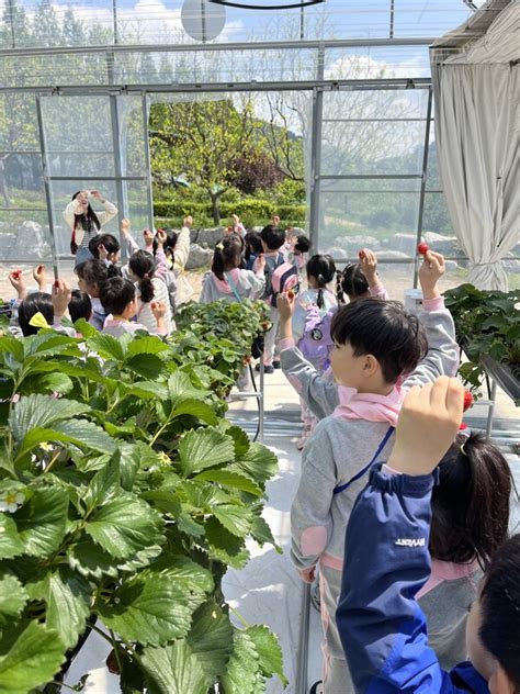 창원시 농업기술센터 스마트농업 테스트베드 교육장 견학 인기