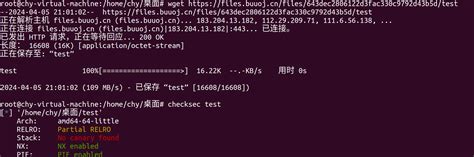 pwn基础入门 1 buuctf test your nc nc连接pwn csdn博客