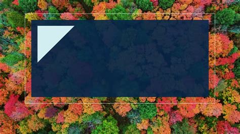 Rajesh Senapati On Linkedin Inaugural Dei Report