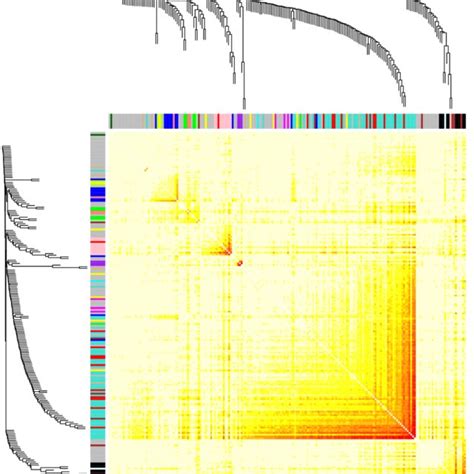 Network Heatmap Plot Representing The Interaction Relationship Analysis Download Scientific