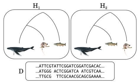 Quantifying Evidence 1 What Are Units Of Evidence Life Is Computation