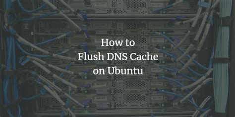 Flush Dns Cache Linux At Sandra Madrigal Blog