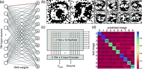 a 1‐layer fully connected bnn was trained on the mnist data set