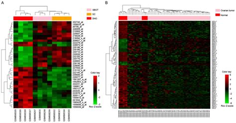 analysis of long non‑coding rna expression profiles in ovarian cancer