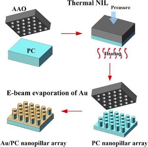 A Schematic Process Of The Preparation Of Goldpc Nanopillars Array