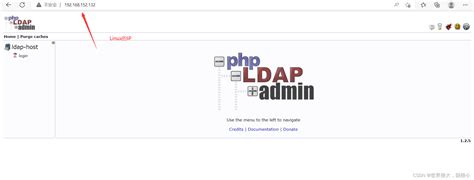 Docker部署ldap从docker安装到ldap创建用户docker Ldap Csdn博客 Docker部署ldap从docker安装到ldap创建用户docker Ldap Csdn博客
