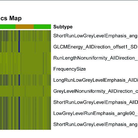 Heat Map Of Radiomics Features Each Row Represents A Feature And Download Scientific