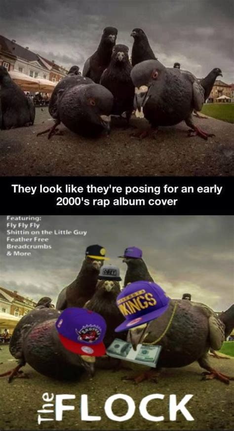 Memes Album Cover
