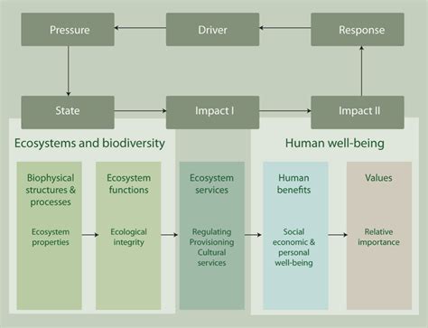 3 Mapping And Assessment Of Ecosystem Services Life Viva Grass