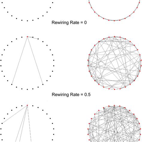 The Rewiring Process In A Wattsstrogatz Small World Network In This