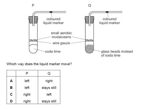 igcse biology 0610 12 1 respiration igcse style questions paper 1