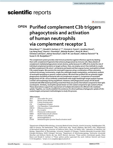 Pdf Purified Complement C3b Triggers Phagocytosis And Activation Of Human Neutrophils Via