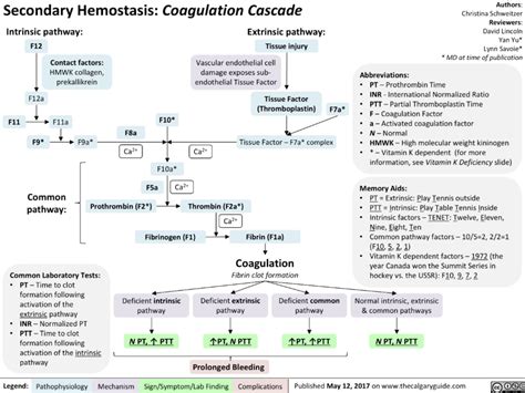 Antiplatelets Diagram Quizlet