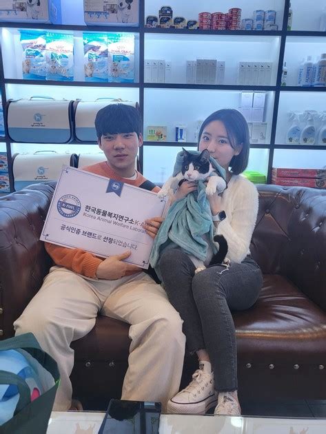 코리안숏헤어 가을이 화이트고양이분양 화이트비숑프리제분양사이트 화이트포메라니안분양사이트 화이트말티즈분양사이트 화이트말티푸분양사이트 화이트푸들분양사이트 화이트먼치킨분양사이트