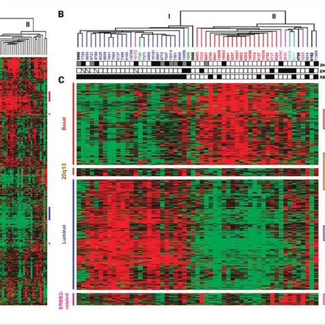 Unsupervised Hierarchical Clustering Of Expression Data Total Rnas