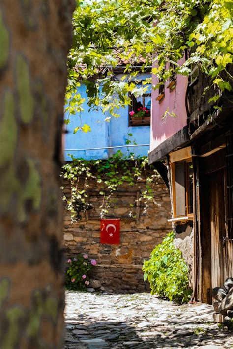 거리 사진 건물 외장 건축 경치 경치가 좋은 고요한 골목 관광 그림 같은 기이 한 나뭇잎 다채로운 덩굴 도시 탐사 돌담 랜드마크 러스틱 마을