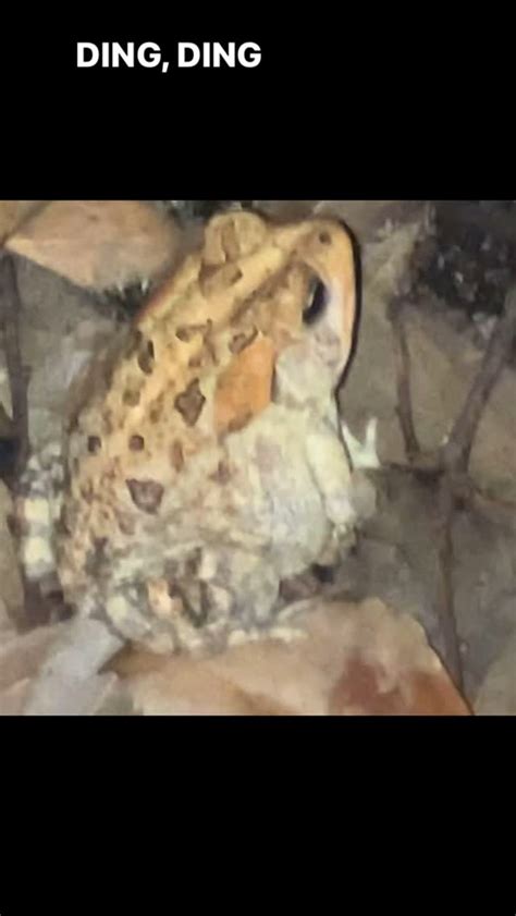 Dejanaritz • Instagram Photos And Videos