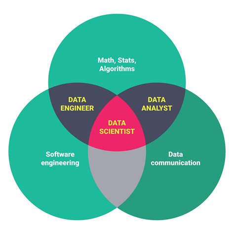The Difference In The Career Options In Data Science Data Scientist Vs