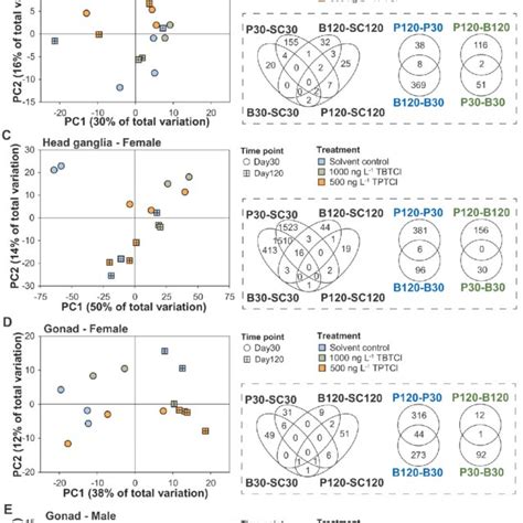 Comparative Analysis Of Tissue Transcriptomic Expression Profiles Under Download Scientific