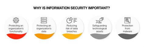 Importance Of Information Security Amid Digital Transformation Online