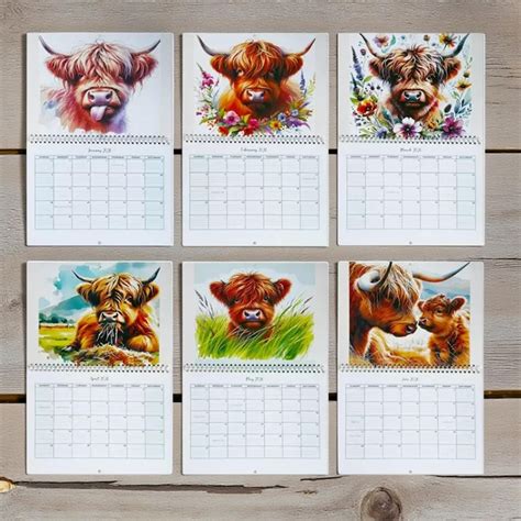 2026 Highland Cow Calendar Fluffy Scottish Cattle Wall Planner Etsy