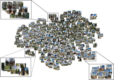 T‐sne Visualization Of The Cross‐view Features Learnt By Our Network Download Scientific