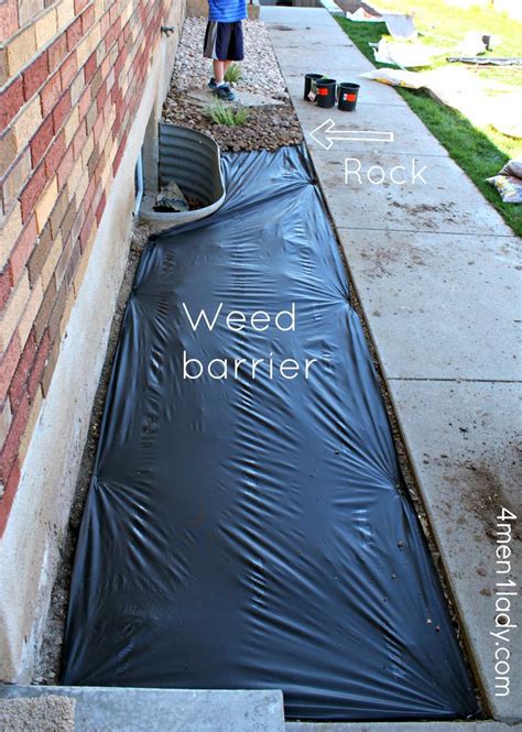 2 4 Men 1 Lady Large Backyard Landscaping Outdoor Landscaping Landscaping With Rocks