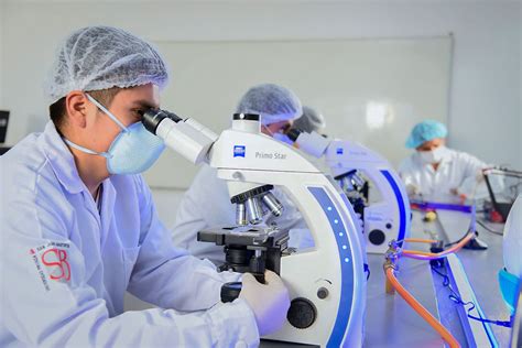 Curso De Base De Datos Oracle 12c Universidad Privada San Juan Bautista