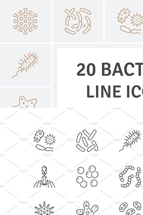 Bacteria Line Icons Masterbundles