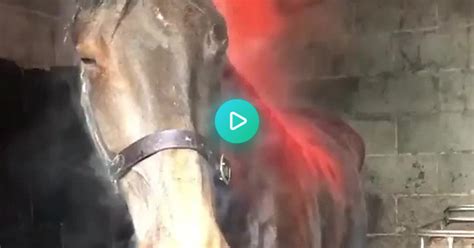 Warning Using Incorrect Lubricant May Cause Parts To Overheat Album