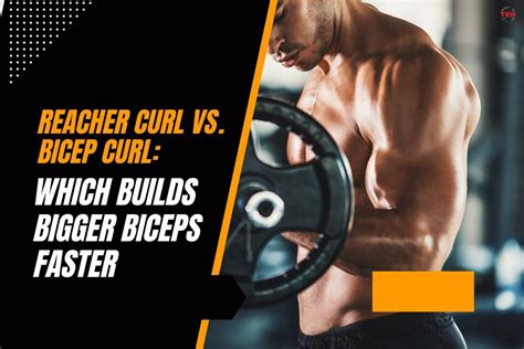 Preacher Curls And Bicep Curls Which Builds Bigger Biceps Faster The