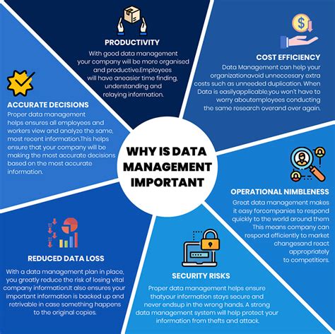 The Most Popular Data Management Services