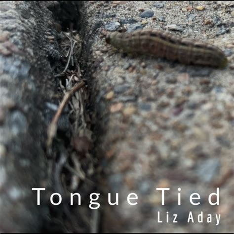 Stream Tongue Tied By Liz Aday Variety Of Emotions Listen Online For Free On Soundcloud