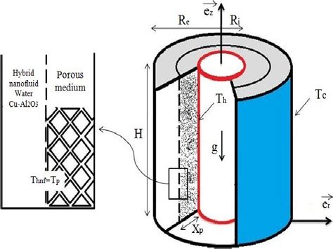 Schematic Physical Domain Download Scientific Diagram