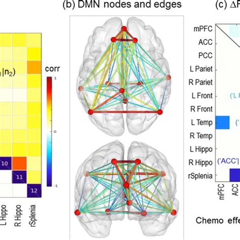 Presentation Of Functional Network Connectivity Fnc Matrix And Fnc Download Scientific