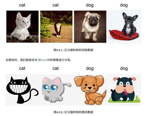 学习笔记：深度学习训练理论知识 Shawn Wang