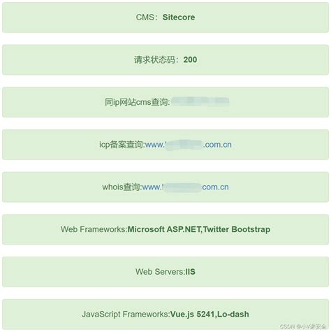 实战src漏洞挖掘全过程，流程详细【网络安全】 src可以用漏扫吗 csdn博客