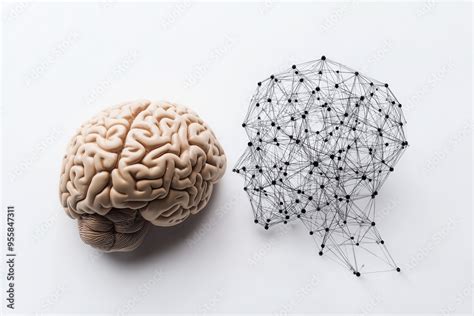 Conceptual Image Depicting Brain And Artificial Intelligence Model