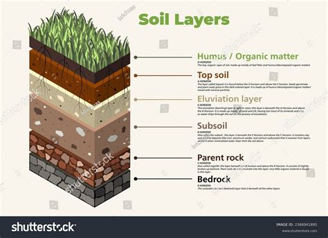 Soil Structure Horizon Soil Structure Horizon