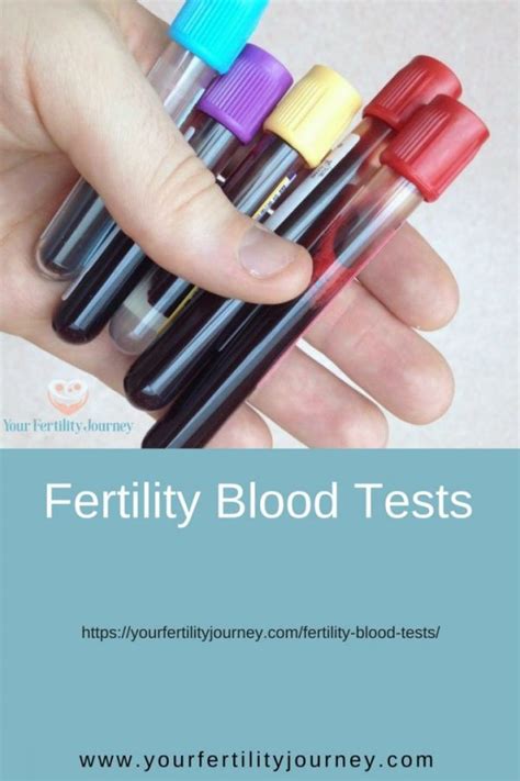 Fertility Blood Tests Which Ones Do You Need To Have