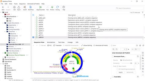Geneious Prime Crack 20240 Astrocrack