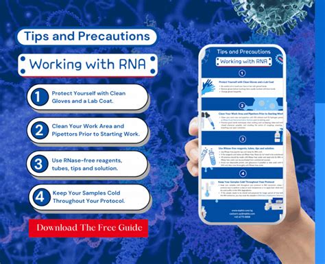 Mp Biomedicals On Linkedin Rnaextraction Rna Mpbiomedicals Guidetorna Lifescience…